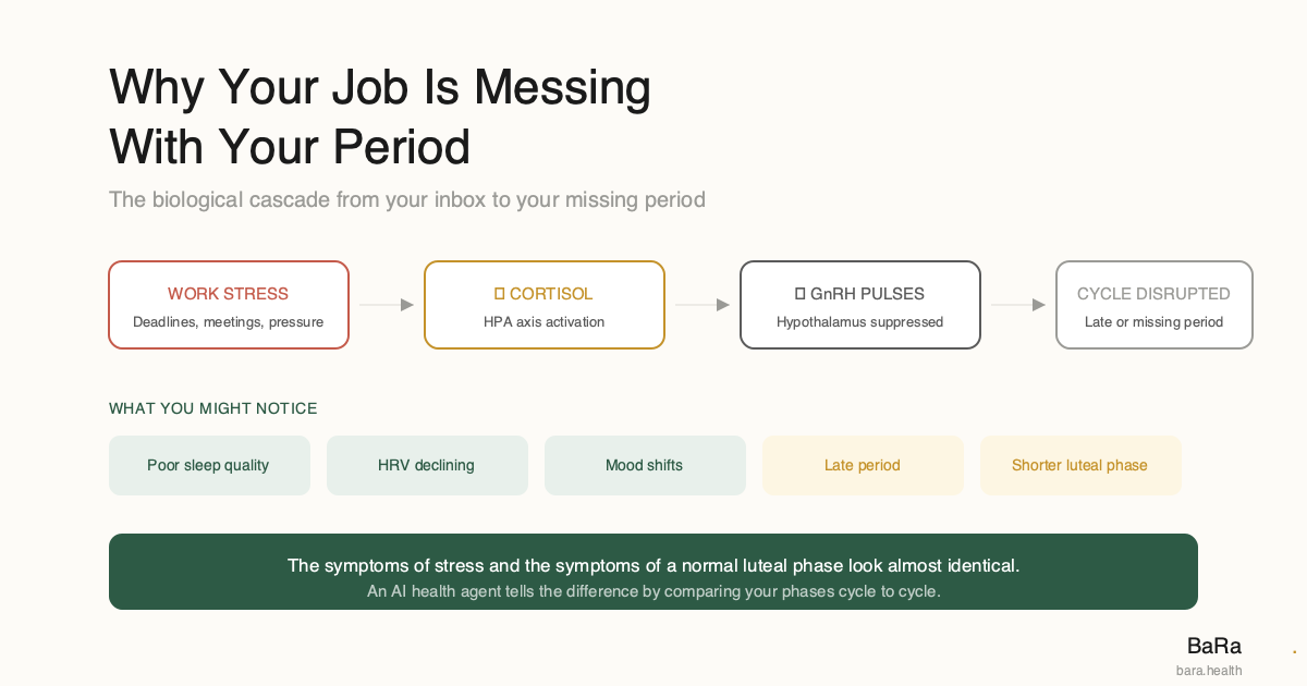 Why Your Job Is Messing With Your Period | BaRa Health